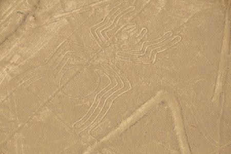 The Animal Geoglyphs Of The Nazca Lines, From The Hummingbird To The Whale