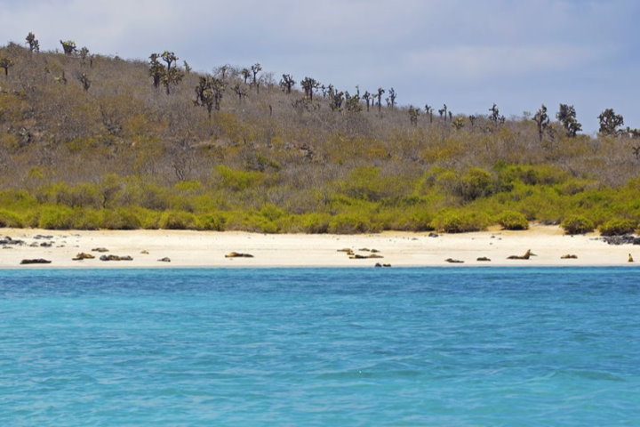 Santa Fe Island, Galapagos - Description & Main Visitor Sites