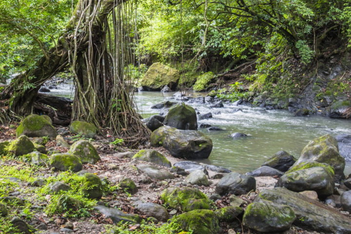 Visit El Valle de Antón, Panama with South American Vacations