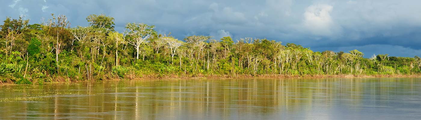 Best 8-Day Amazon River Cruises for 2025-26 | SA Vacations