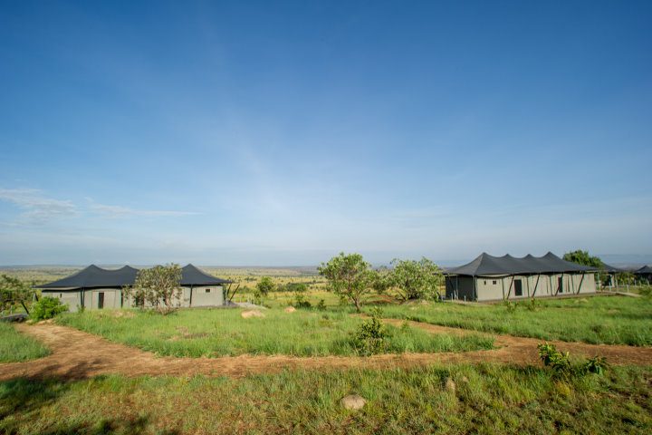 Mara Mara Tented Lodge Photos & Info | SA Vacations