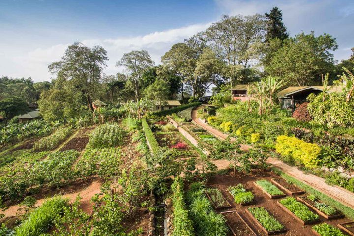 Gibbs Farm Photos & Info | SA Vacations